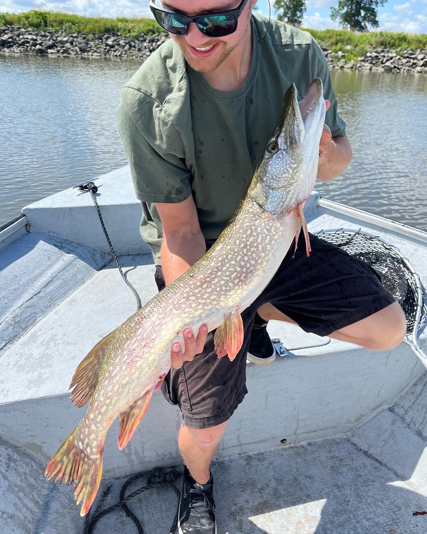 Grand brochet - Poisson au lac St-pierre | AFC du lac Saint-Pierre