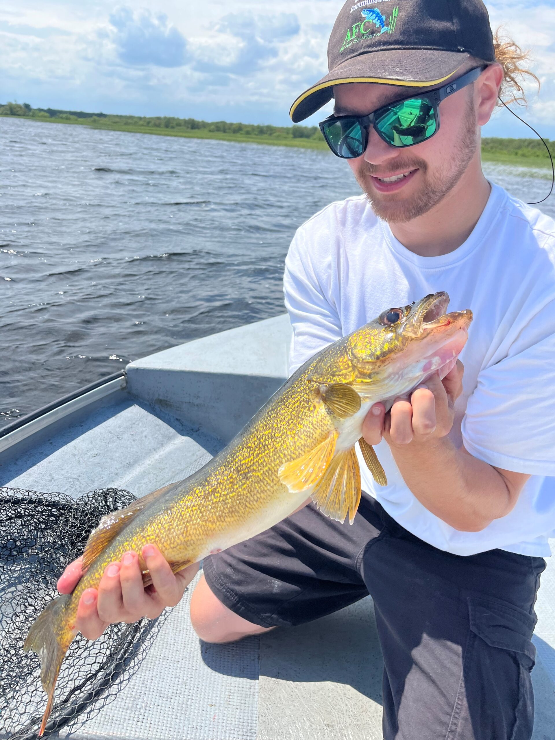 Doré noir et Doré jaune - Poissons | AFC du lac Saint-Pierre