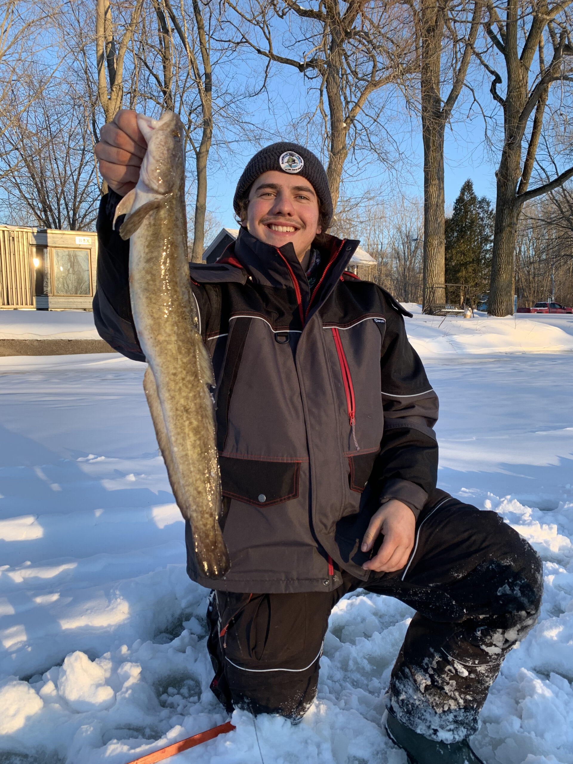 Lotte - Poisson au lac St-pierre | AFC du lac Saint-Pierre